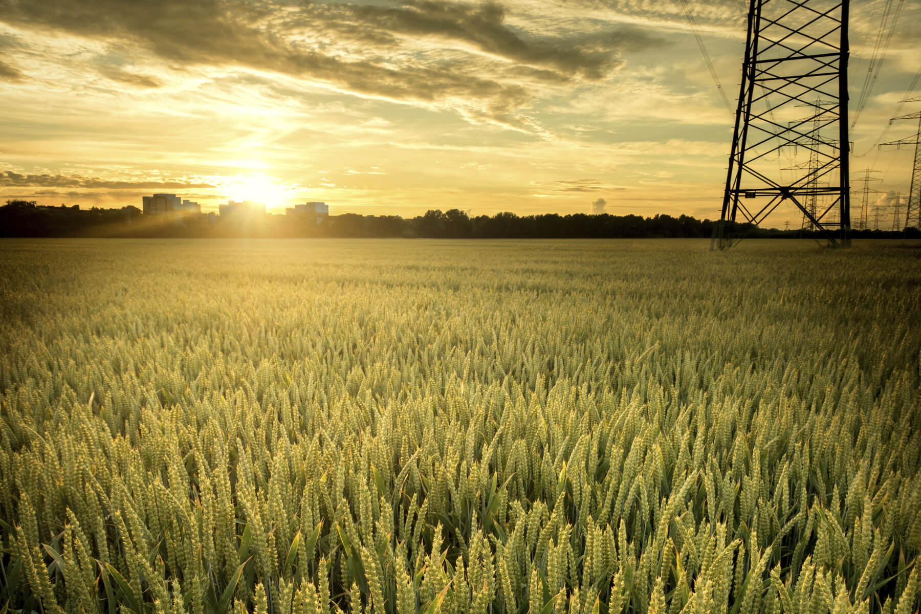 Switching From Electricity To Gas - inEnergy